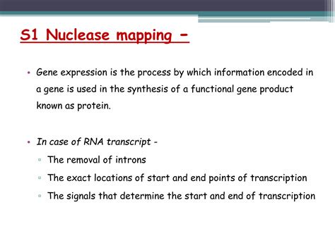S1 Nuclease Mapping Pptx