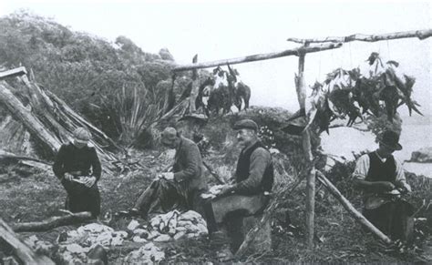 Can Customary Harvesting Of Nzs Native Species Be Sustainable
