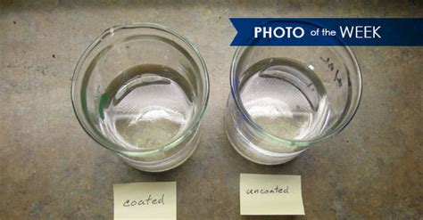 Photo Of The Week Solubility Test