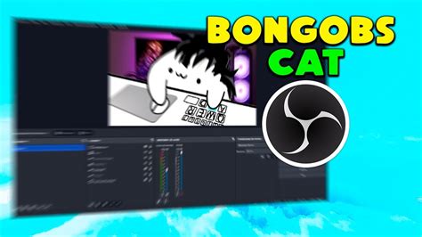 Cómo INSTALAR y CONFIGURAR Bongobs Cat EN OBS y PERSONALIZARLO YouTube