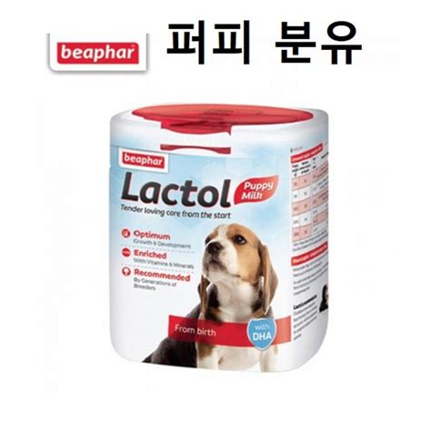 아기강아지 영양보충 분유 락톨 퍼피 500g 비어파 홈플러스 택배배송