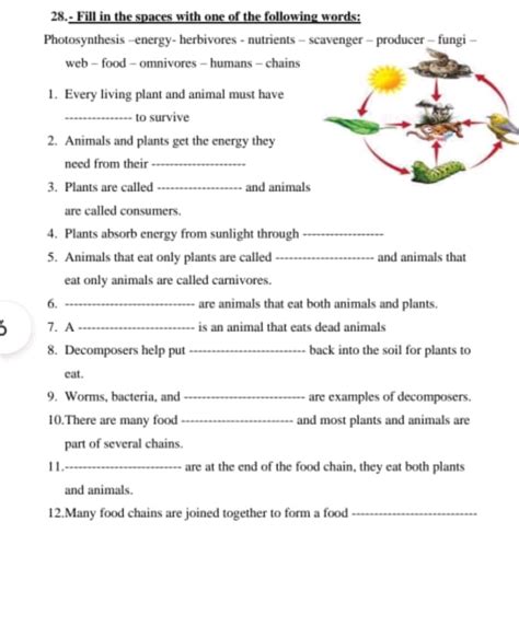 Fill In The Spaces With One Of The Studyx