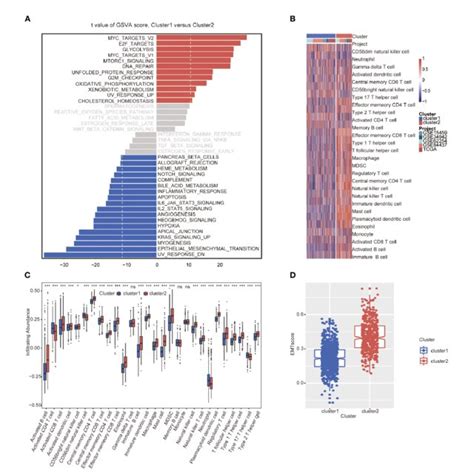 Molecular And Immune Characteristic Analysis Between Two Autophagy