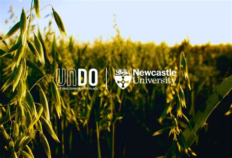 Stakeholder Engagement Statement Undo Carbon