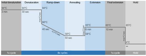 Ligation Sequencing V14 — Single Cell Transcriptomics With 5 Cdna