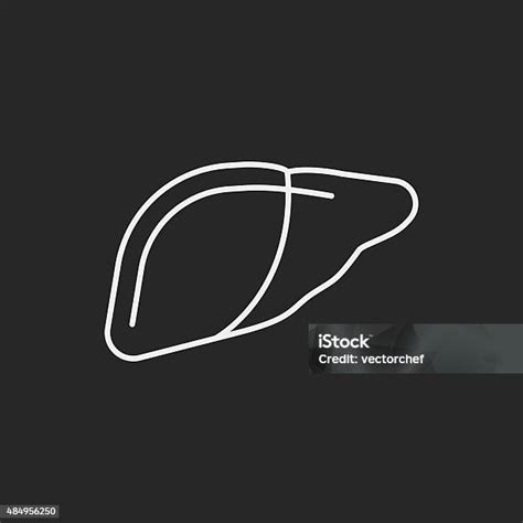 간 꺾은선형 아이콘크기 건강관리와 의술에 대한 스톡 벡터 아트 및 기타 이미지 건강관리와 의술 과학 내부 Istock