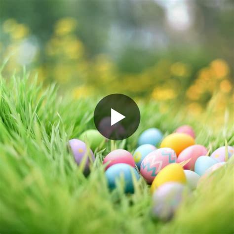 Happyeaster Cmuomniclear Cmu Cmu Omniclear Limited