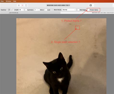 V203 Some Tools Dont Work Proper Or Not At All V2 Bugs Found On Macos Affinity Forum