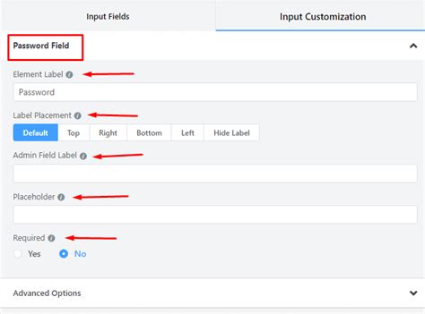 Password Input Field In Wp Fluent Form Wordpress Plugin