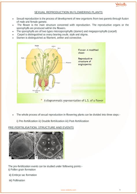 Cbse Class 12 Biology Chapter 2 Sexual Reproduction In Flowering