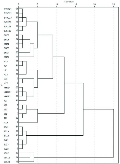 dendrogram cluster analysis of six jujube cultivars with red and