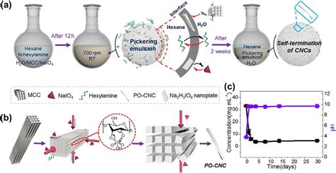 Synthesis Of Cellulose Nanocrystals Po Cncs Within Pickering Download Scientific Diagram