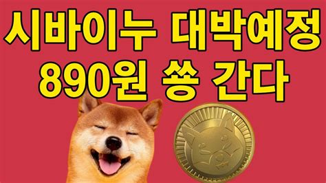 시바이누 코인 우리도 이렇게 웃어요~ 890원 대박 Youtube