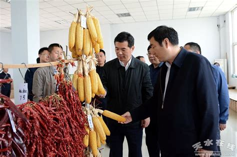 山东滨州考察团考察天水市现代农业发展情况图 天水在线