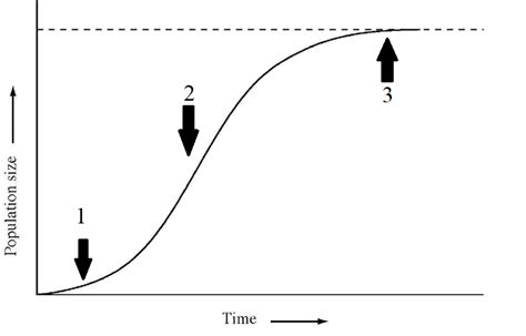 Solved The Above Figure Shows The Population Size Over Time