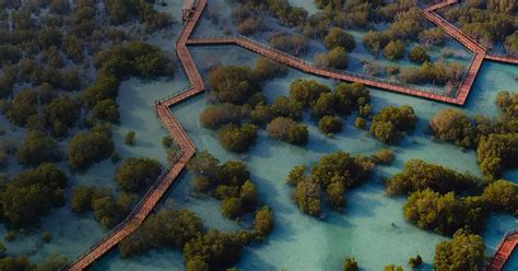 2023 Sustainability Report Ghd