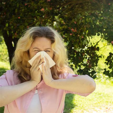 The Connection Between Allergies And Sinus Infections Light E N T