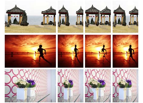 comparison of the proposed image retargeting algorithm with the