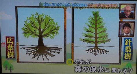 Imgur The Magic Of The Internet