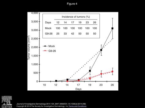 CD63 Tetraspanin Is a Negative Driver of Epithelial-to-Mesenchymal ...