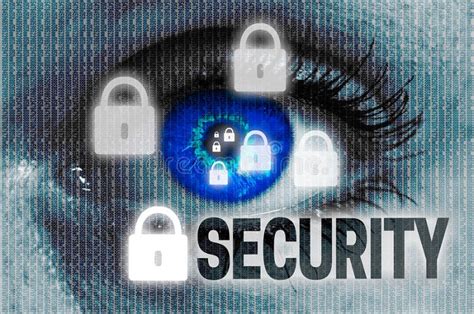 Security Assessment