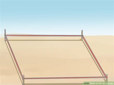 How To Put Up A Trellis Steps With Pictures WikiHow