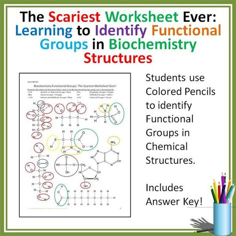 Biochemistry Functional Groups Activity For High School Biology Functional Group Biochemistry