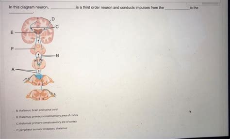 solved in this diagram neuron is a third order neuron and