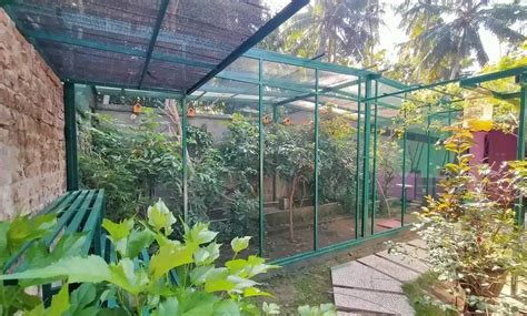 Ingin Membuat Aviary Perhatikan Hal Ini Burung Super