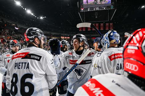 Comeback Vollendet VIERTELFINALE Profis ERC Ingolstadt