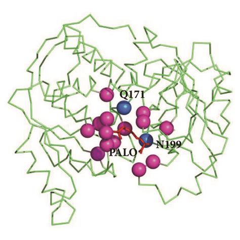 A DNA Sequencing Profiles Based On Electropherograms I And Iii Download Scientific