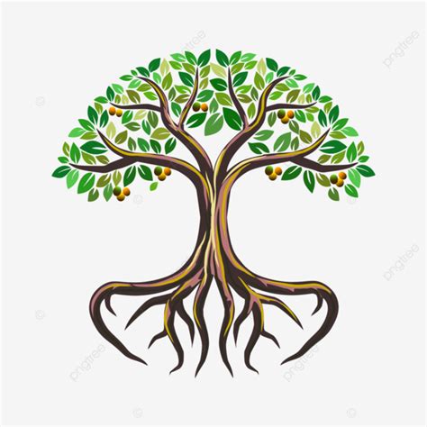 원형 모양 벡터 일러스트 레이 션의 올리브 나무와 뿌리 올리브 나무 뿌리 원형 트리 Png 일러스트 및 벡터 에 대한 무료 다운로드 Pngtree