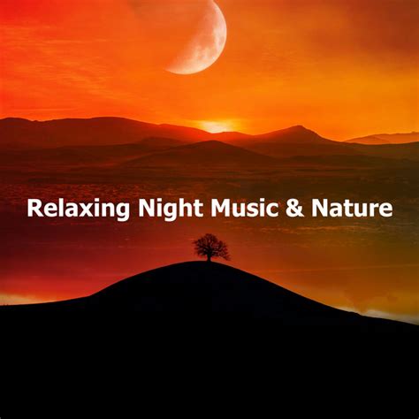 Relaxing Night Music And Nature Album By Night Sounds Spotify