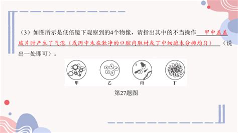 Ppt