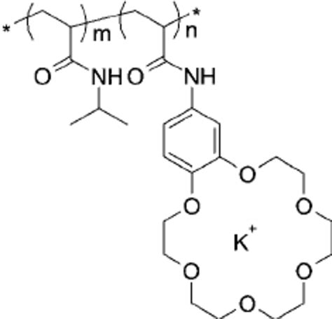8 Structure Of The Nipaam Co Bcaam Polymer Upon Capturing A