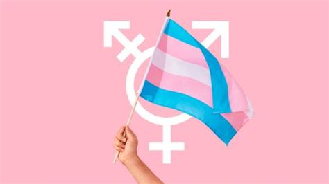 Las Trans Más Famosas De Colombia Kienyke