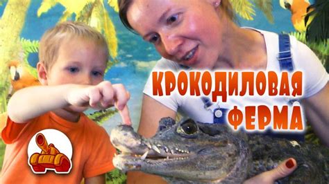 Крокодиловая Ферма Контактный Зоопарк Развлечение для Детей Croc Farm