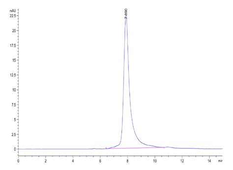 Human Transferrin Rcd71 Protein Recombinant Reprokine