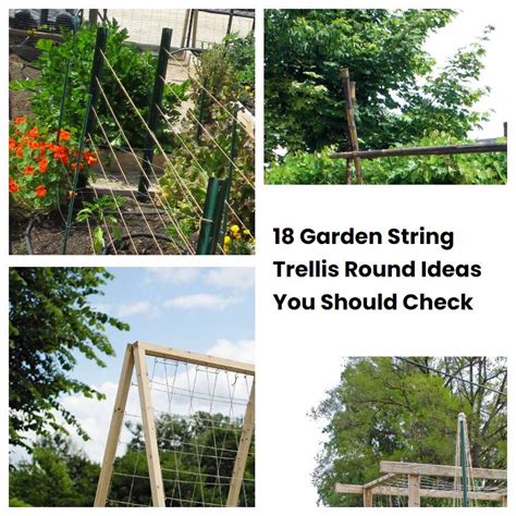 18 Garden String Trellis Round Ideas You Should Check Sharonsable