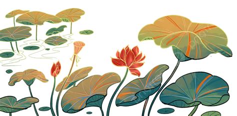 연꽃 연잎 식물 로터스 연잎 연밥 Png 일러스트 및 Psd 이미지 무료 다운로드 Pngtree