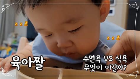 육아짤 돌 아기는 잠을 택할까 소고기를 택할까 Youtube