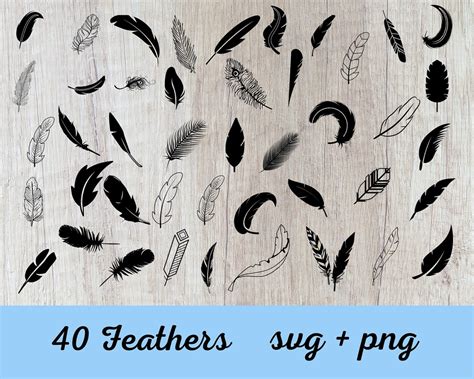Feather Svg Feathers Svg Clipart Cut Files Silhouette Files For