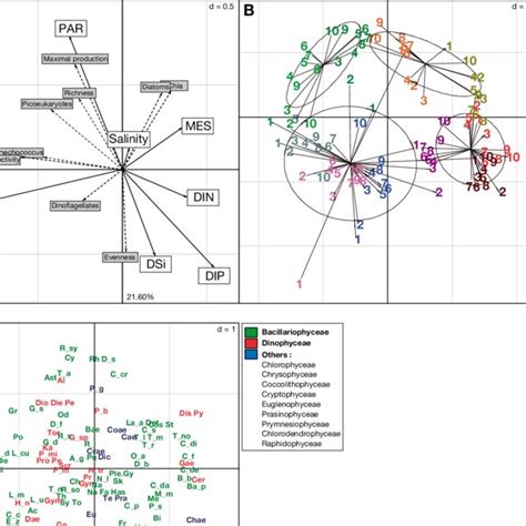 Partial Triadic Analysis Pta Interstructure Analysis A Histogram Download Scientific