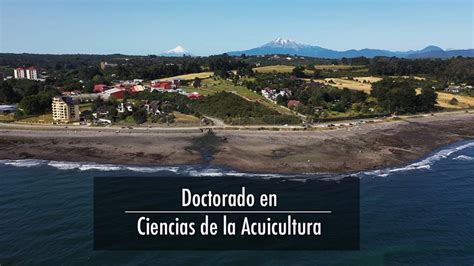 Admisión 2021 Doctorado En Ciencias De La Acuicultura Realiza último