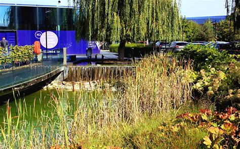 Waves Actisud 2025 All You Need To Know Before You Go With Reviews