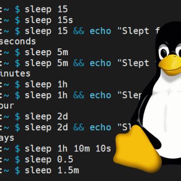 Pausing A Script In PHP Using Sleep Or Usleep Pi My Life Up