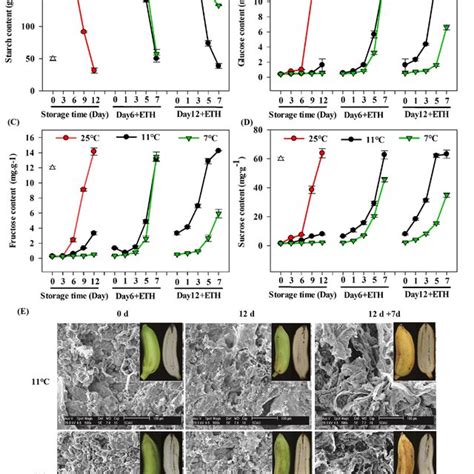 Y1h Assay Showing The Ability Of Manac67 Like Protein To Bind Promoters