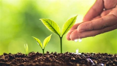 Mais De 40 Defensivos Agrícolas Incluindo Sete Produtos Biológicos