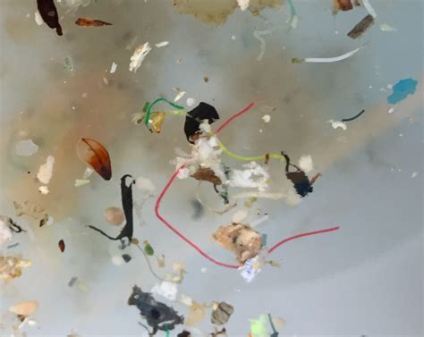 Microplastics Plastic Free Seas