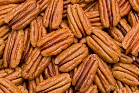 Shelled Pecans (Carya illinoinensis) _ ILovePecans